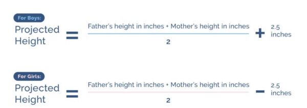 How Tall Will Your Child Be? The Top 3 Ways to Predict Their Adult ...